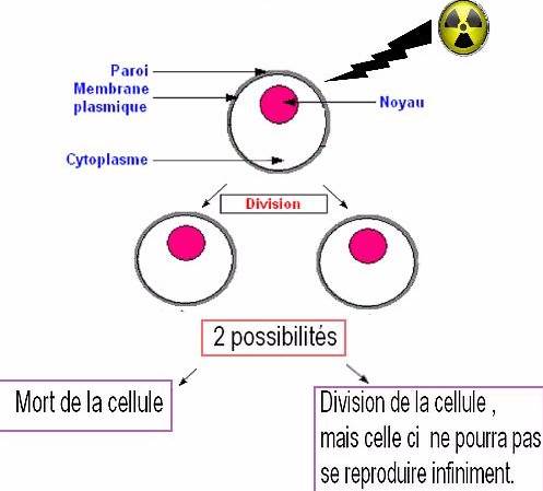 Radiations